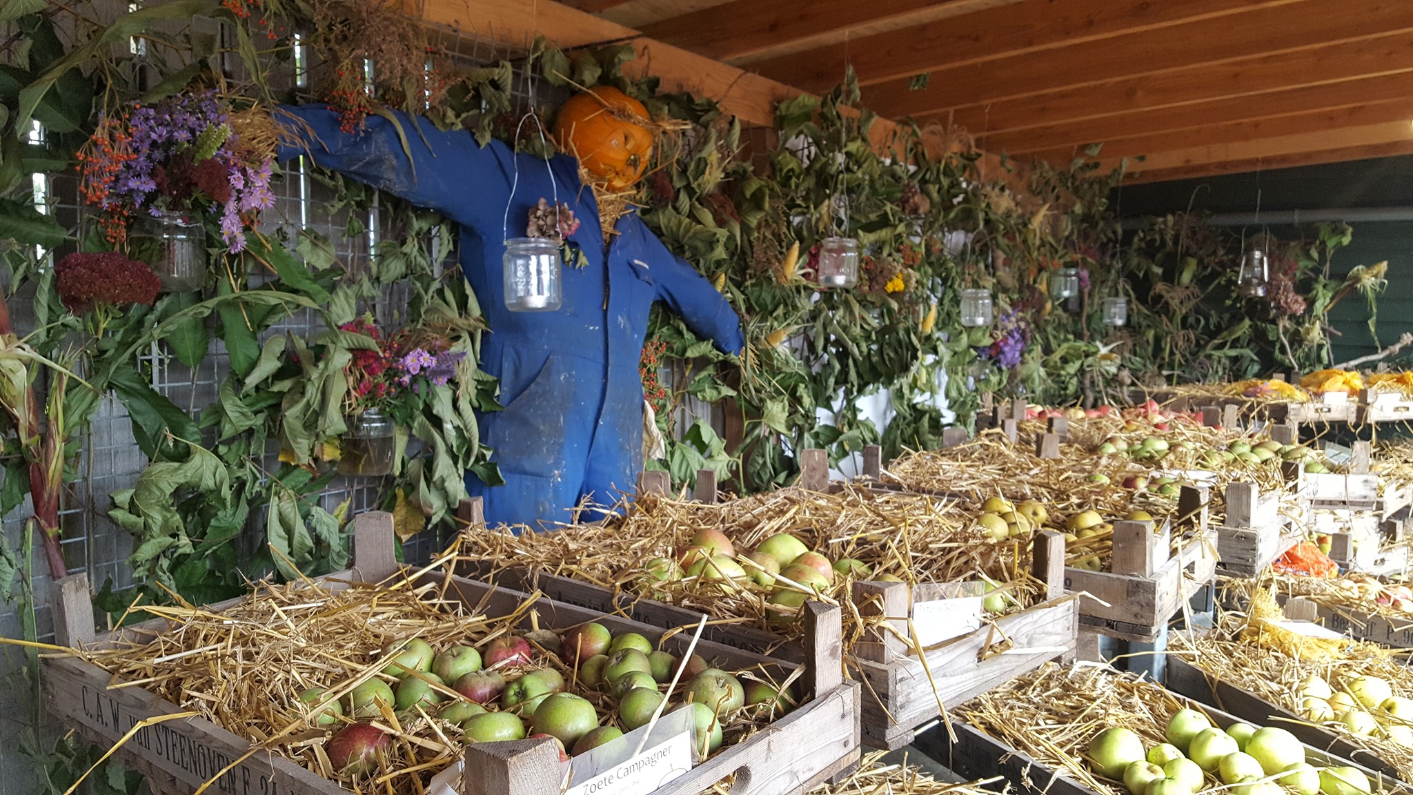 Oogstfeest en fruitshow bij De Kruidhof hortus van Fryslân ...